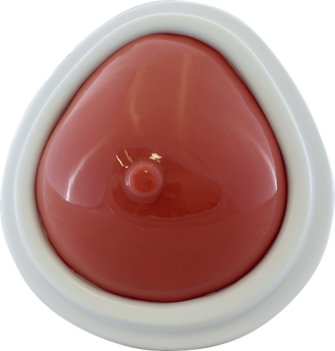 Gphantom Mama treinamento Biópsia Ultrassom | Montserrat Shop